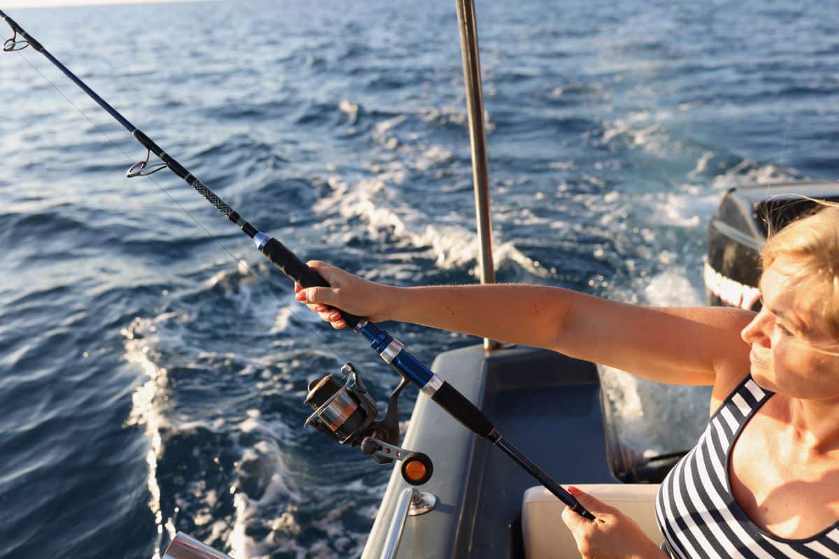 Best 2 Piece Saltwater Spinning Rod: 9 Reviews & Buying Guide