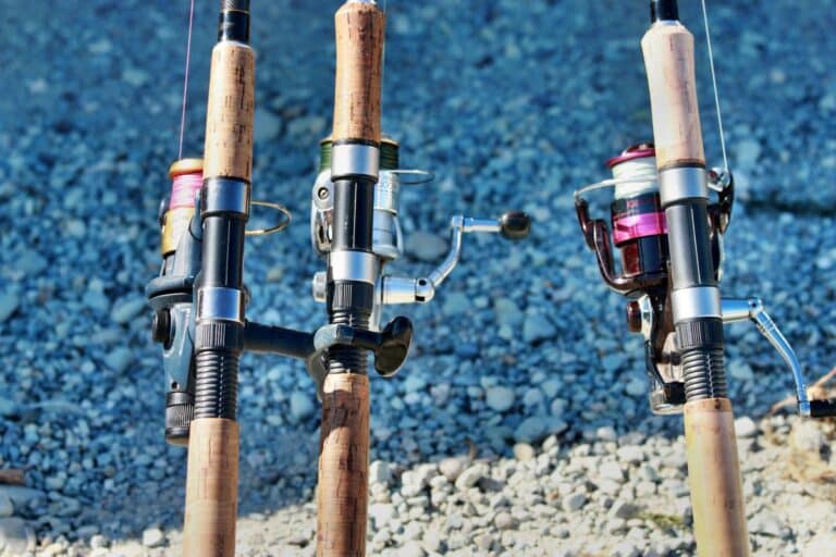 9 Best Baitcasting Rods Under 100 Dollars (September 2025)