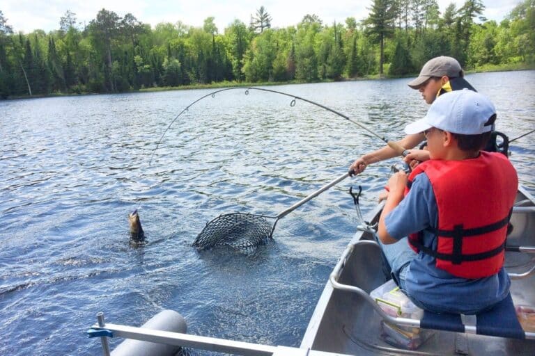 10 Best Salmon Rods For The Money (Updated: April 2026)